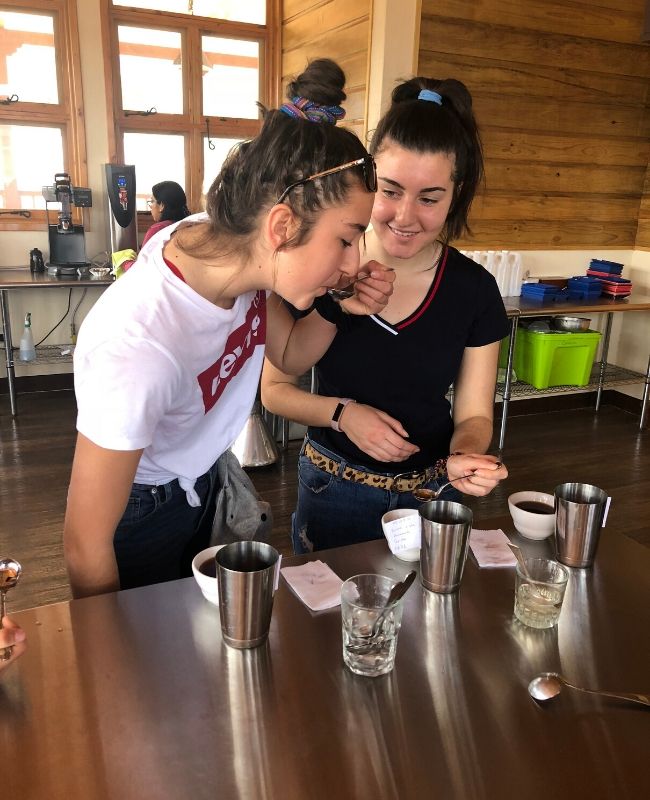 Barista Training & Coffee Classes in NSW – Art Of Espresso Specialty Coffee